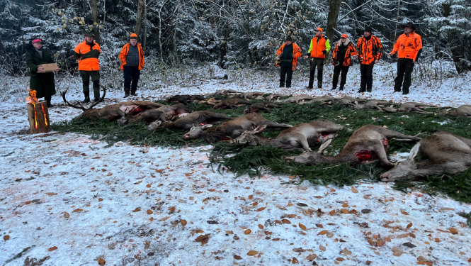 Durch Dick und Dünn: Faszination Treibjagd